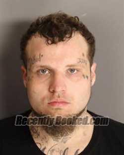 Recent Booking / Mugshot for Brandon Lee Potter in Berkeley County ...