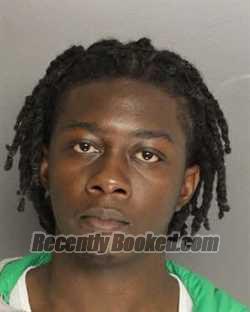 Recent Booking / Mugshot for Chaise Alexander Ham in Berkeley County ...