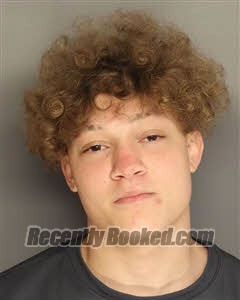 Recent Booking / Mugshot for Dillon Gregory Burks in Berkeley County ...