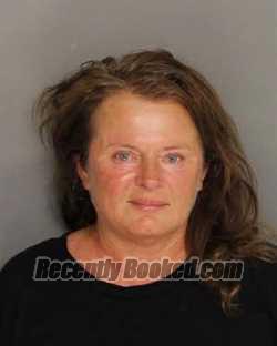 Recent Booking / Mugshot for Dawn Fowler in Berkeley County, South Carolina