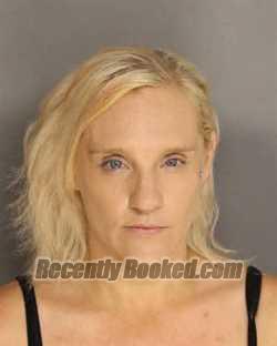 Recent Booking / Mugshot for Robyn Lee Buttery in Berkeley County ...