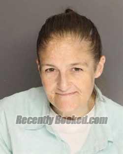 Recent Booking / Mugshot for Stacey Jean Cser in Berkeley County, South ...