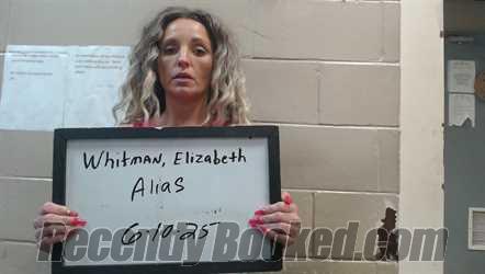 Recent Booking / Mugshot for ELIZABETH M WHITMAN in Marion County, Alabama