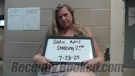 April J Siotis Mugshot & Arrest Info | Marion County, AL