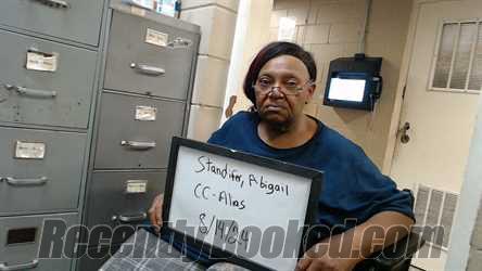 Recent Booking / Mugshot for ABIGAIL LEE STANDIFER in Marion County ...