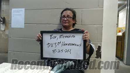 Recent Booking / Mugshot for MEREDITH BOX in Marion County, Alabama