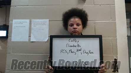 Recent Booking / Mugshot for ELIZABETH CAFFEY in Marion County, Alabama