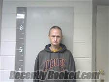 Recent Booking / Mugshot for JONATHAN DALE MALONE in Marshall County ...