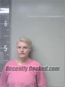Recent Booking / Mugshot for BOBBIE MAUREEN MARTIN in Marshall County ...