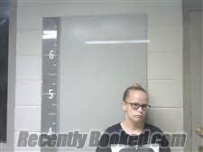 Recent Booking / Mugshot for MISTY JANE VENABLE in Marshall County, Alabama