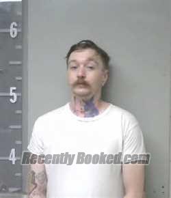 Recent Booking / Mugshot for TROY HUNTER MITCHELL in Marshall County, Alabama