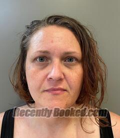Recent Booking / Mugshot for STACY DIANE SIMS in Morgan County, Alabama