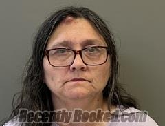 Recent Booking / Mugshot for SHERRY JEAN JOHNSON in Morgan County, Alabama