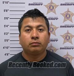 Recent Booking / Mugshot for LUIS ENRIQUE in Morgan County, Alabama