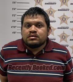 Recent Booking / Mugshot for ANDRES MARTIN ALONZO in Morgan County, Alabama