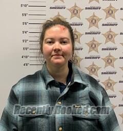 Recent Booking / Mugshot for CAITLYN ELISE MEFFORD in Morgan County ...
