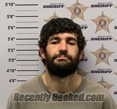 Recent Booking / Mugshot for JEREMY RYAN BRAZIER in Morgan County, Alabama