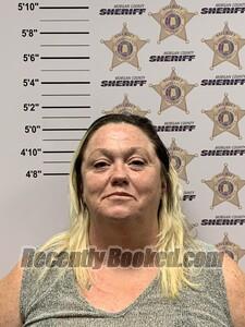 Recent Booking / Mugshot for BRANDY NICHOLE HOUSER in Morgan County ...