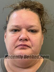 Recent Booking / Mugshot for VENNISA MARIE BORDEN in Morgan County, Alabama