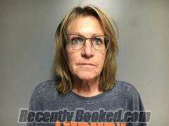 Brenda Burrow Mugshot & Arrest Info | St Clair County, AL