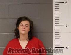 Recent Booking / Mugshot for SYDNEY RIGGINS in St Clair County, Alabama