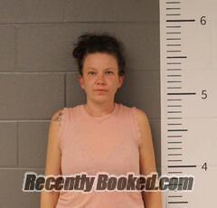 Recent Booking / Mugshot for CASSANDRA PERKINS in St Clair County, Alabama