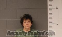 Recent Booking / Mugshot for SUSAN FREY in St Clair County, Alabama