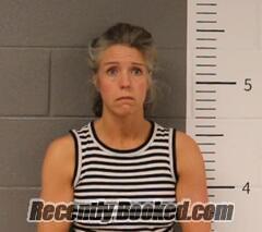 Recent Booking / Mugshot for ASHLEY BRIGHT in St Clair County, Alabama