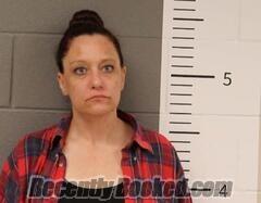 Recent Booking / Mugshot for MARY RENO in St Clair County, Alabama