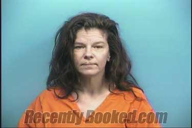 Recent Booking / Mugshot for SUZANNE LYNN CULLUM in Shelby County, Alabama
