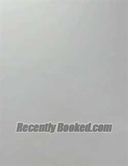 Recent Booking / Mugshot for BIANCA MICHELLE ELLIS in Talladega County ...