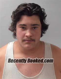 Recent Booking / Mugshot for ANTHONY DAVID LANDERS in Talladega County ...