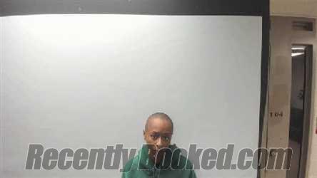 Recent Booking / Mugshot for KAMESHA CHARITY WILLIAMS in Talladega ...
