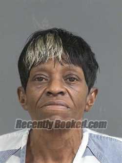 Recent Booking / Mugshot for GALE CYNTHIA POLITE in Charleston County ...