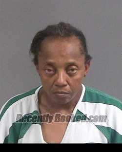 Recent Booking / Mugshot for MARY MIDDLETON HEYWARD in Charleston ...