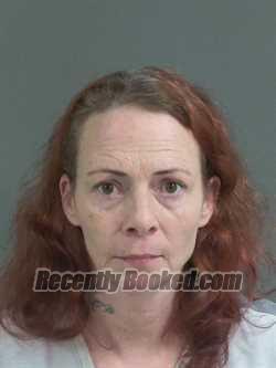 Recent Booking / Mugshot for CRYSTAL LYNN WILSON in Charleston County ...