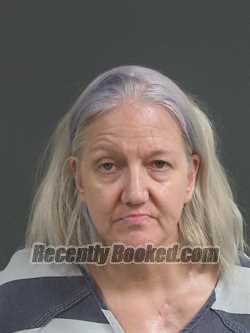 Recent Booking / Mugshot for KIMBERLY ANN BRILL in Charleston County ...