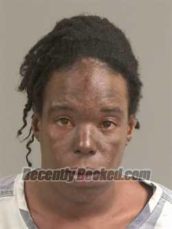 Recent Booking / Mugshot for CHANTEL MICHELLE MILLIGAN in Charleston ...