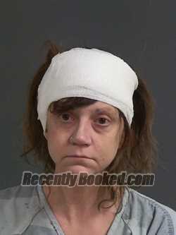 Recent Booking / Mugshot for ALLISON RHADEN SIGMON in Charleston County ...