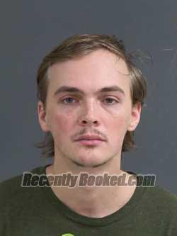 Recent Booking / Mugshot for NOAH SOMMER JOHNSON in Charleston County ...