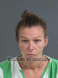 Recent Booking / Mugshot for AMBER SAVIN in Charleston County, South ...
