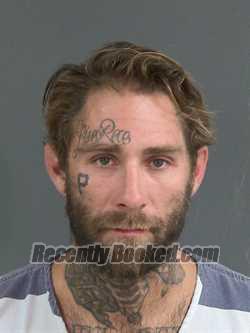 Recent Booking / Mugshot for RYAN MICHAEL ESTEL in Charleston County ...