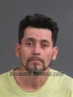 Recent Booking / Mugshot for SELVIN ADONIS REYES ORTEGA in Charleston ...