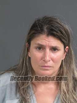 Recent Booking / Mugshot for JAMIE LYN ANTIS in Charleston County ...