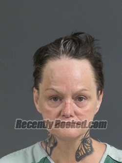 Recent Booking / Mugshot for DANIELLE LEE GARNER in Charleston County ...