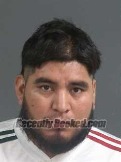 Recent Booking / Mugshot for JERSON G RAMOS ANDRES in Charleston County, South Carolina