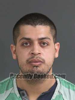 Recent Booking / Mugshot for ANTHONY ORTEGON in Charleston County ...