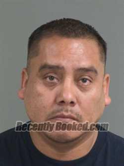 Recent Booking / Mugshot for LEVI ROBLERO in Charleston County, South ...