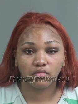 Recent Booking / Mugshot for TAYLA ELIZABETH WILSON in Charleston ...