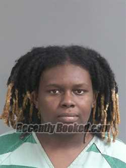 Recent Booking / Mugshot for TEYIONNA SMITH WATSON in Charleston County ...